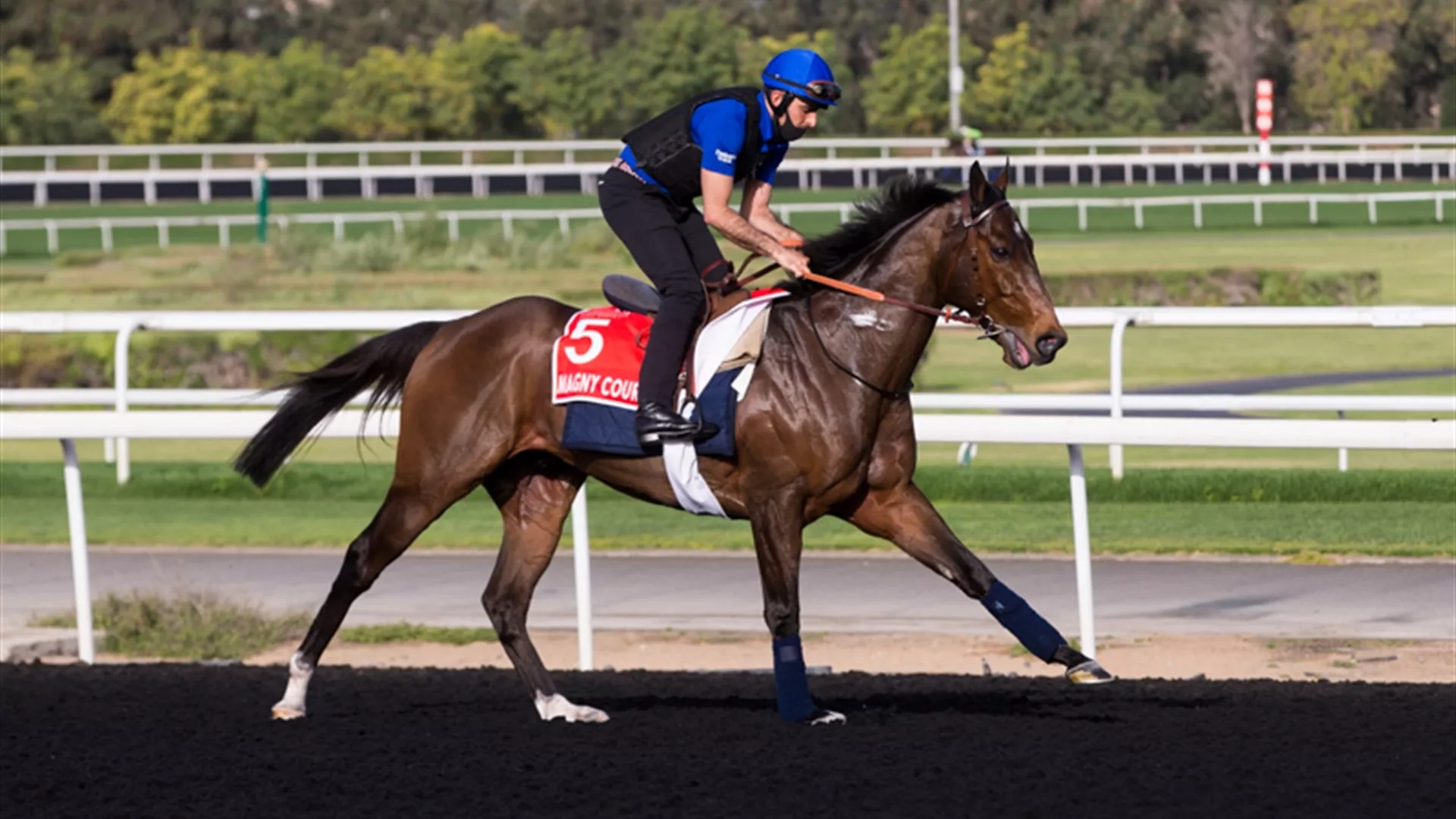 ANDRE FABRE OUT FOR AN ELUSIVE DUBAI PRIZE | Dubai Racing Club