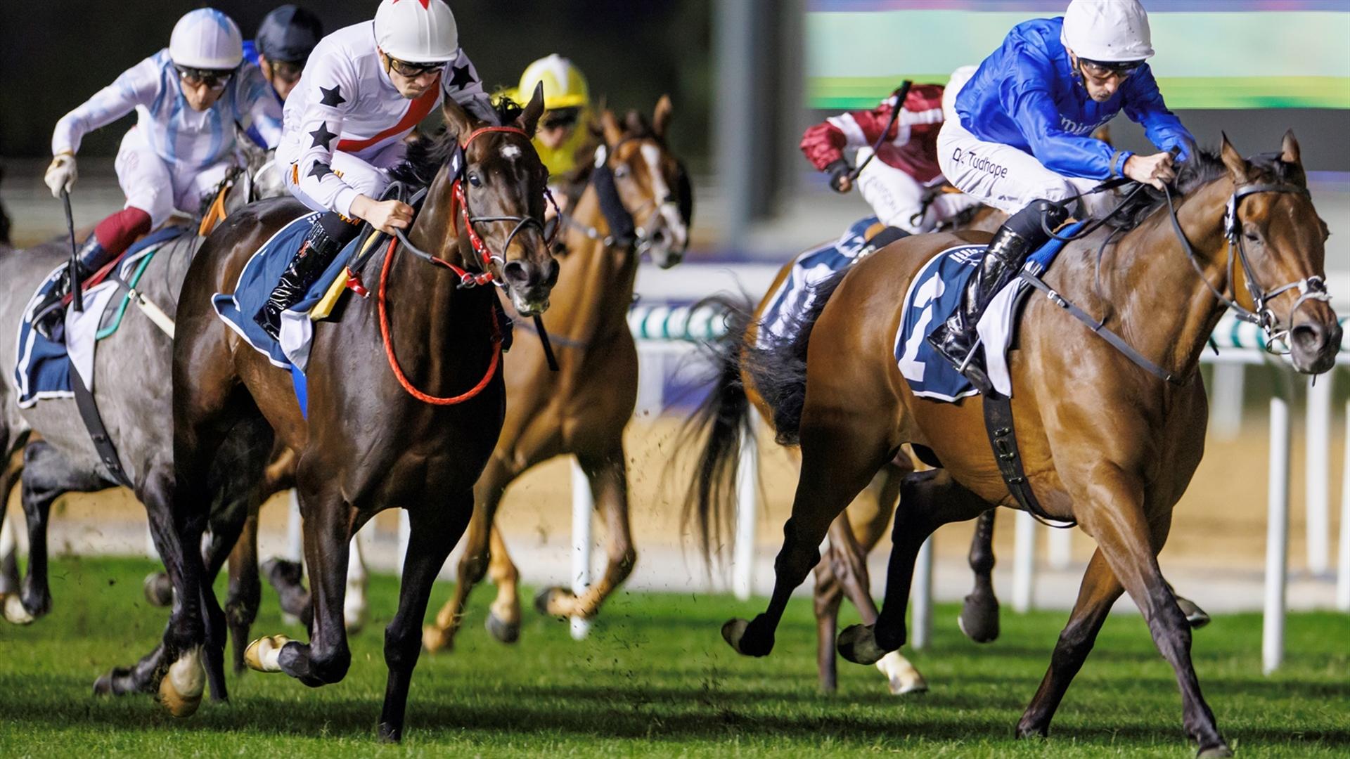 Dubai Racing Carnival - Race 7 - DP World GCC (HANDICAP 85-105, 1200m ...