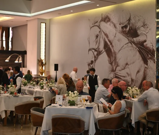 Experience | Dubai Racing Club At Meydan Racecourse