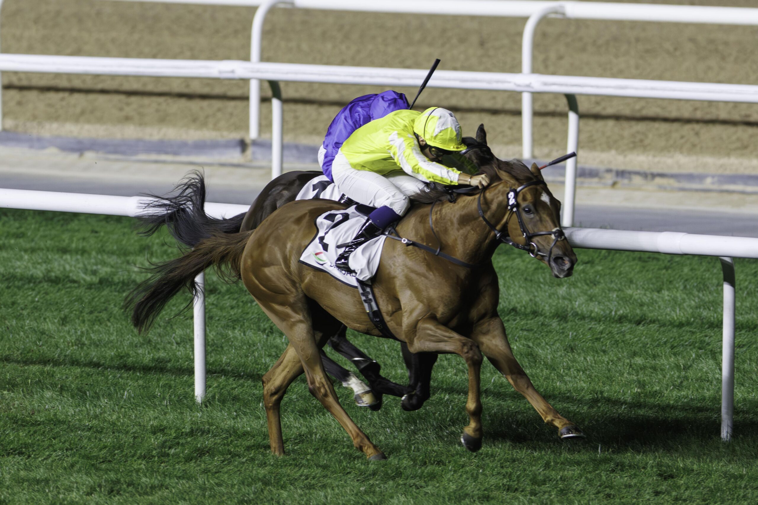DUBAI RACING CARNIVAL- FEB 21, 2025 - Race 5 – G2 BALANCHINE - Dubai ...
