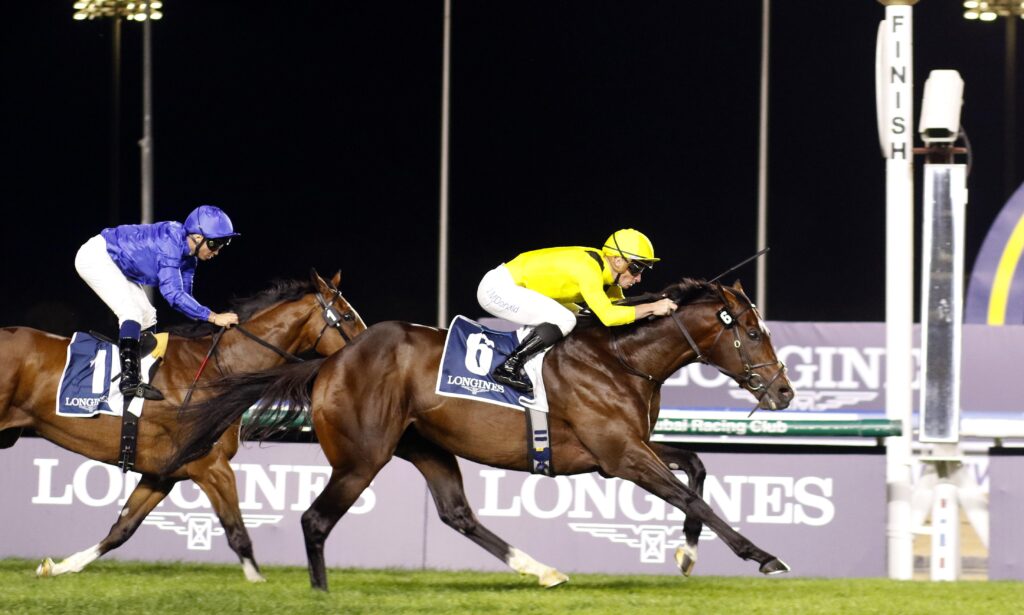 Marbaan And Mysterious Night Re-match In Ras Al Khor Thriller - Dubai ...