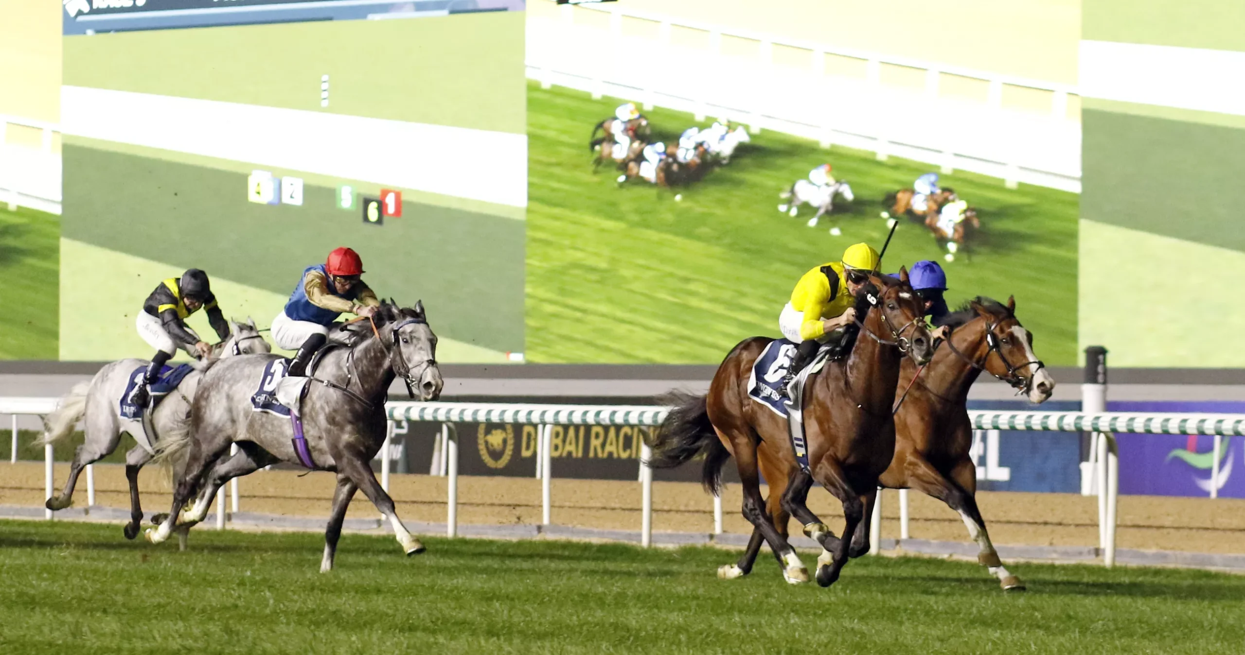 Marbaan And Mysterious Night Re-match In Ras Al Khor Thriller - Dubai ...