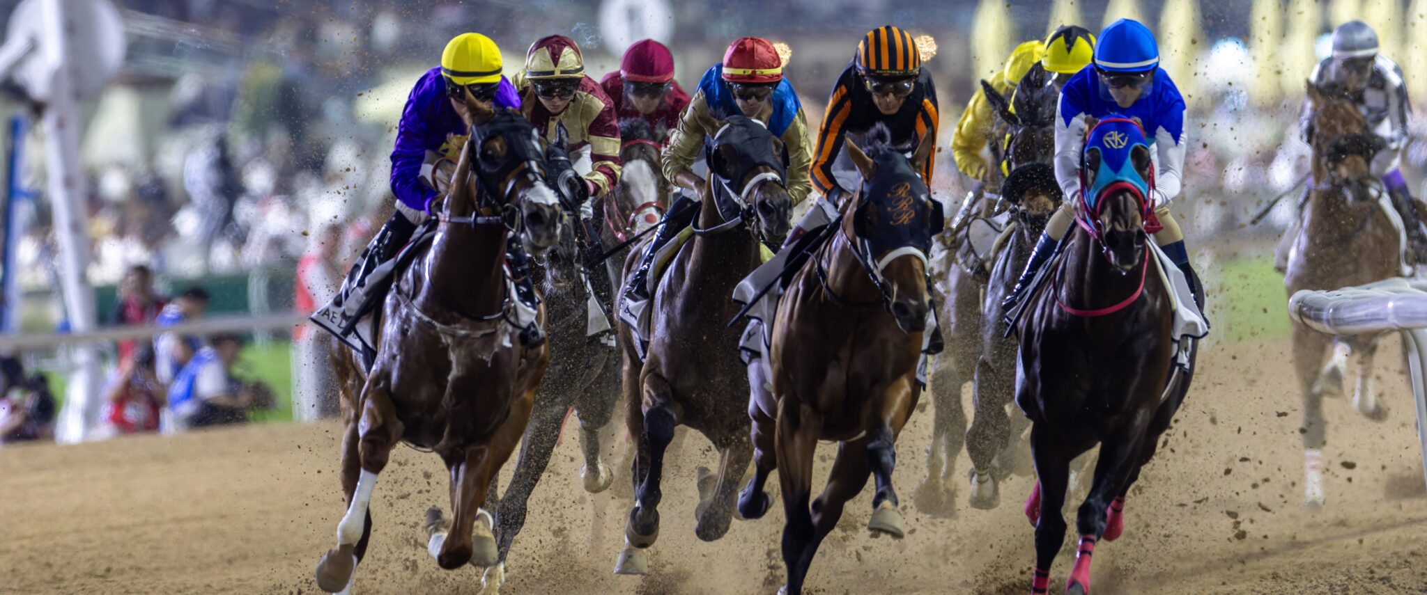 Race Calendar | Dubai Racing Club Official Schedule