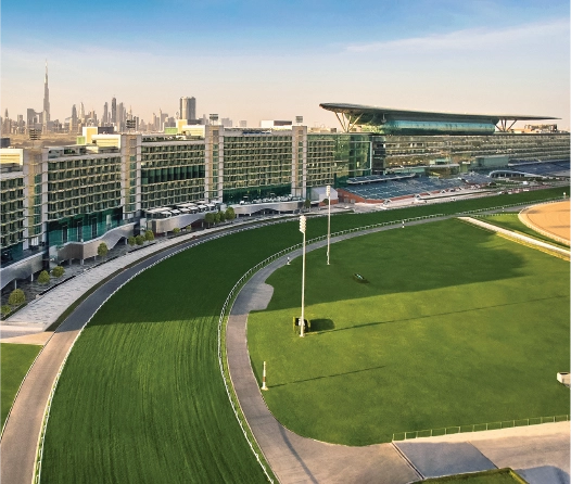Plan Your Day | Race Day Guide | Dubai Racing Club