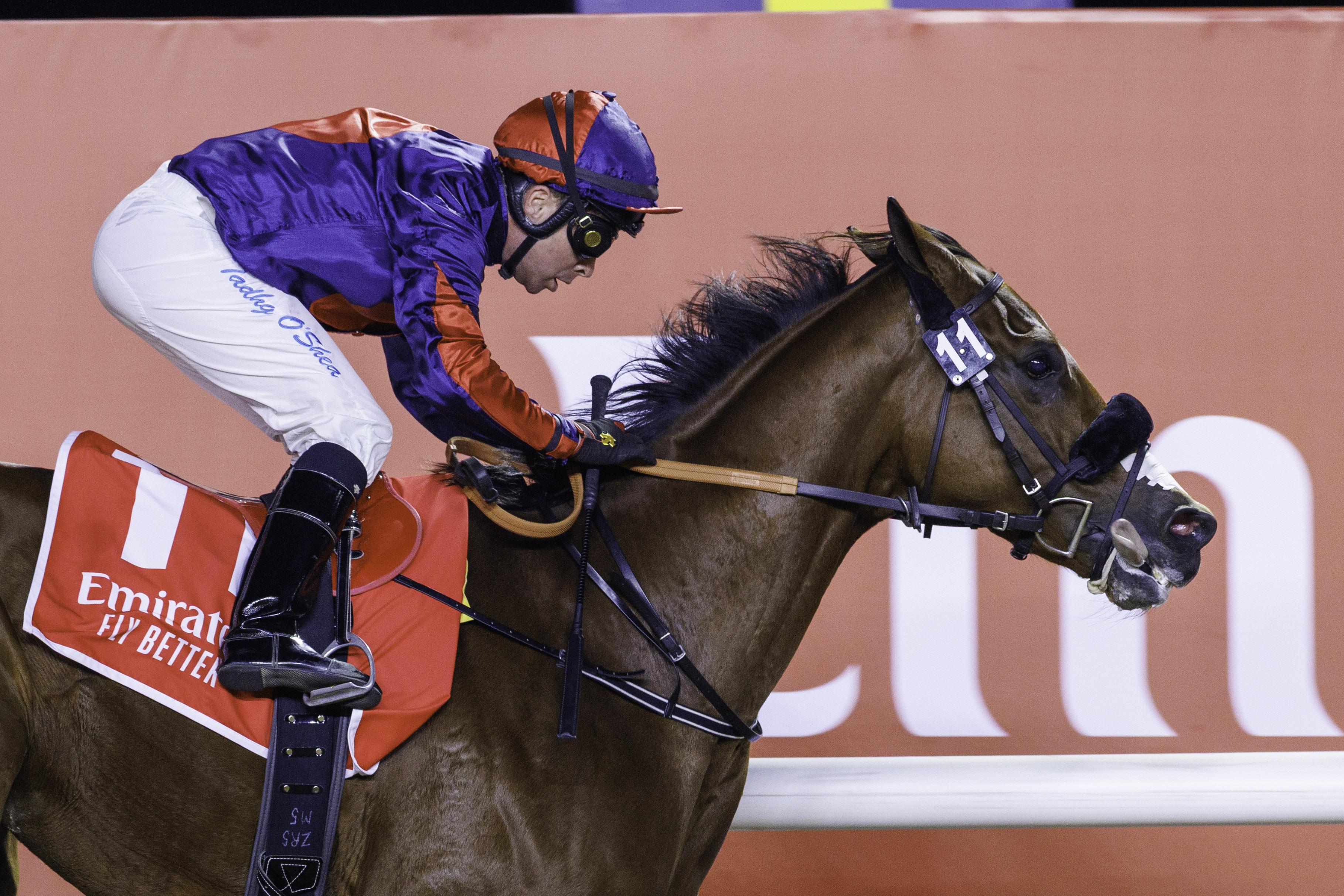 DUBAI RACING CARNIVAL- March 1, 2025 - Race 6 | Dubai Racing Club