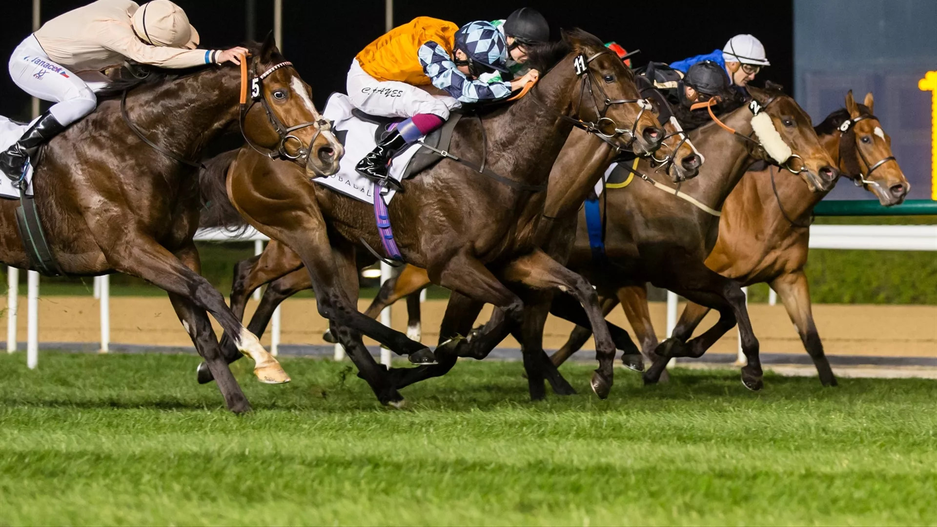 2020 Dubai World Cup Carnival Accepted Horses Announced | Dubai Racing Club