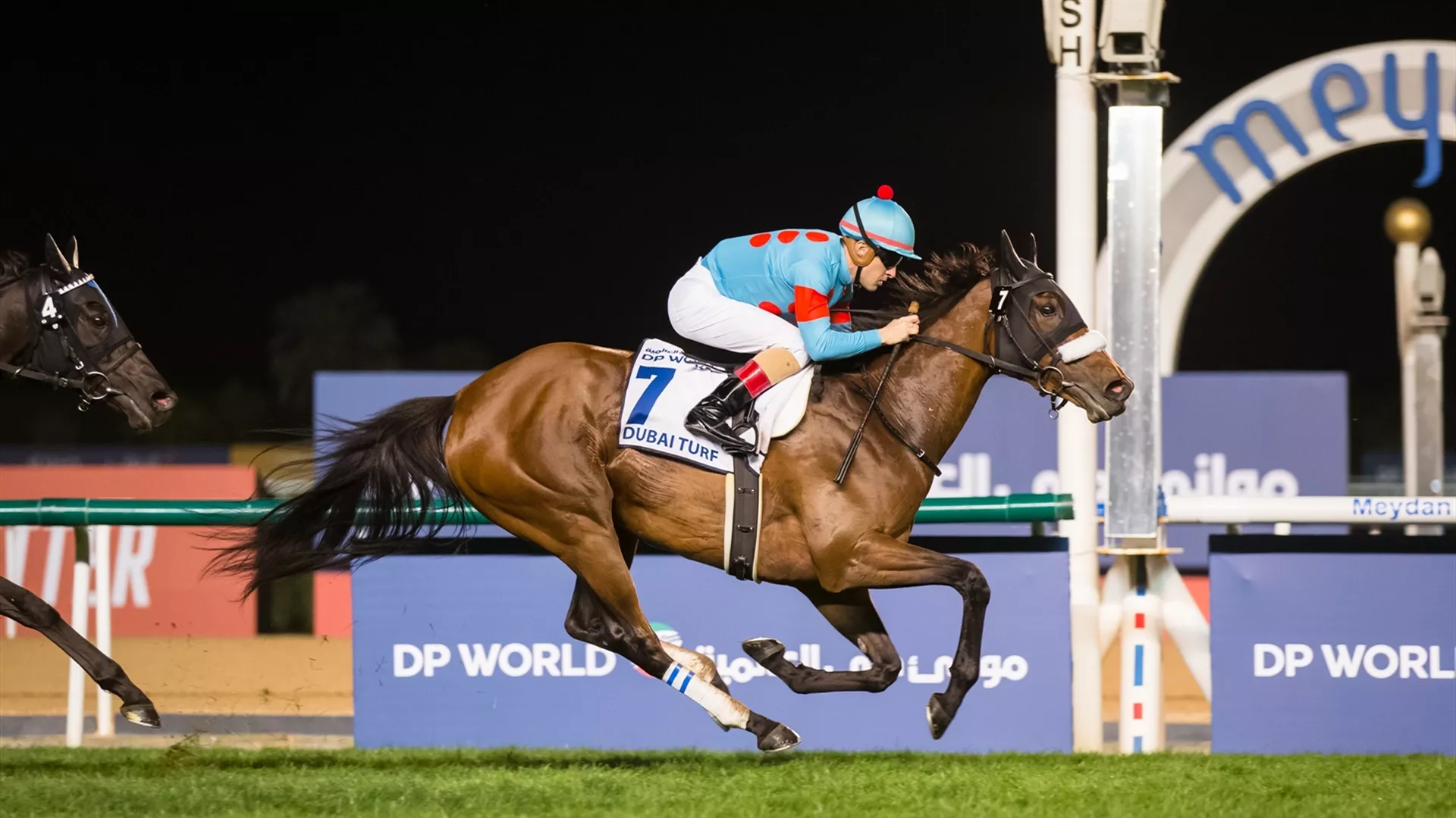 Dubai World Cup Night Nominations Attract 902 Horses From 21 Countries ...