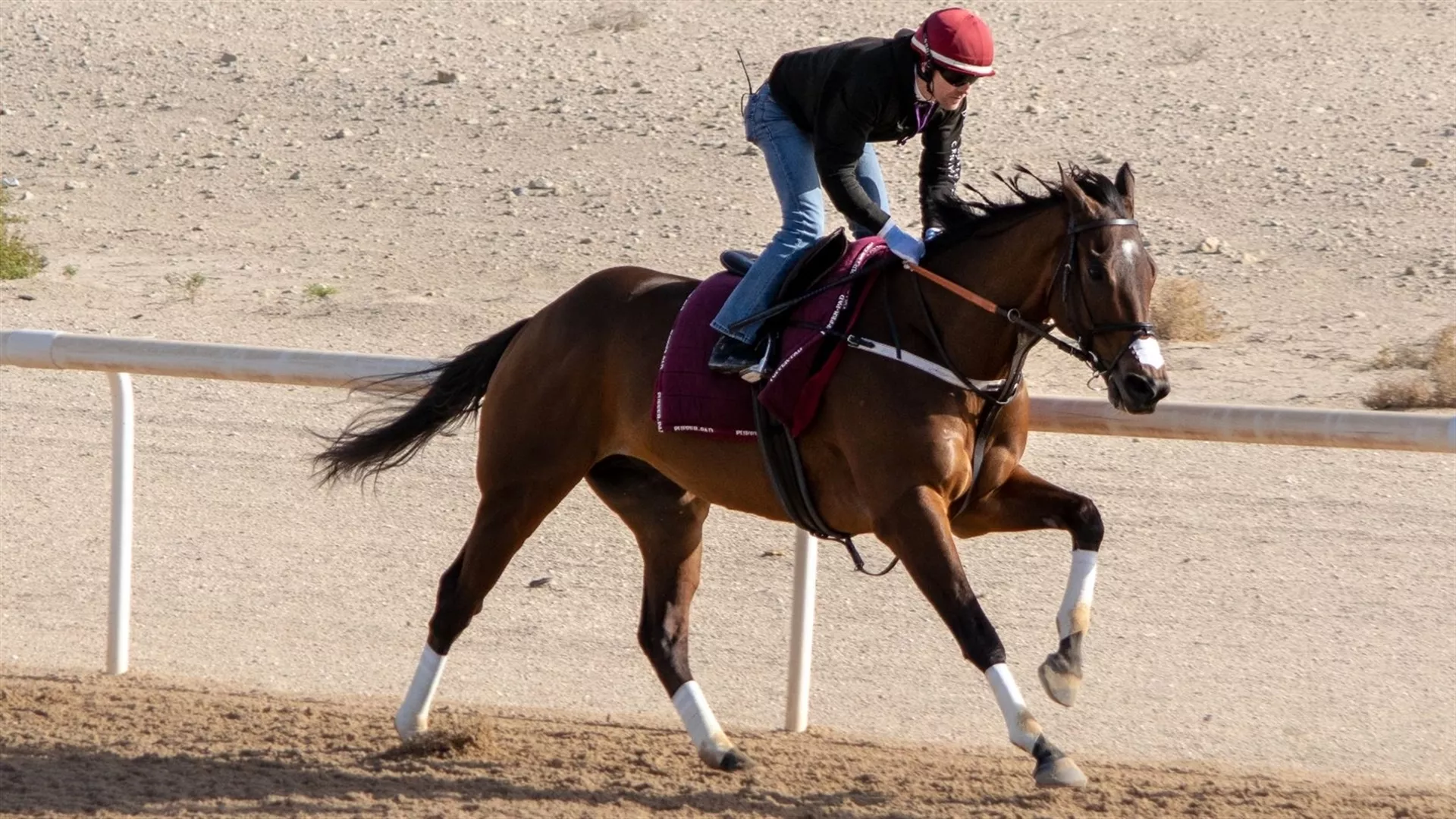 ROAD TO DUBAI WORLD CUP 2019: VOL.5 | Dubai Racing Club